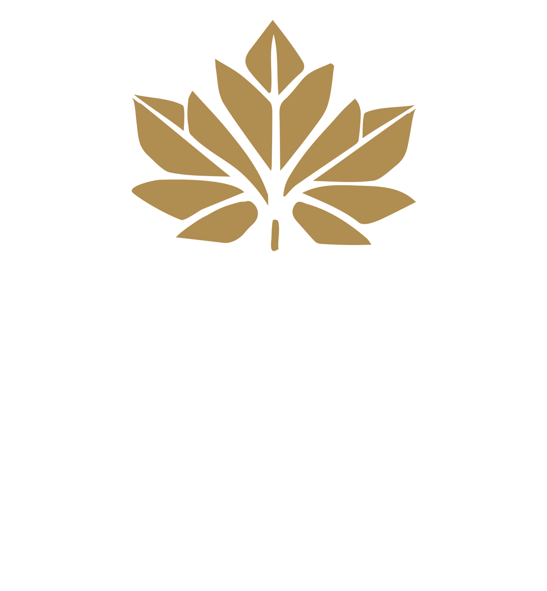 Home - Maple Crest Apartments