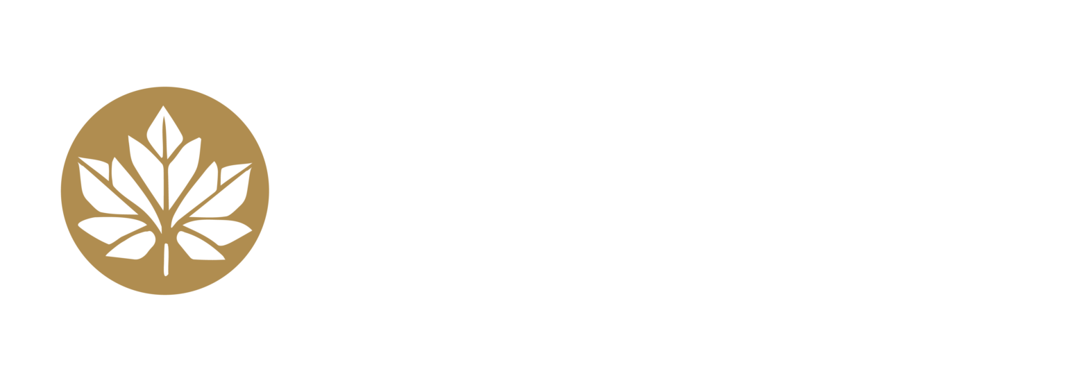 Home - Maple Crest Apartments